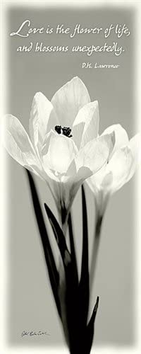 Love Floral Romance Poster 8 X 20 Inches Imaginus Posters