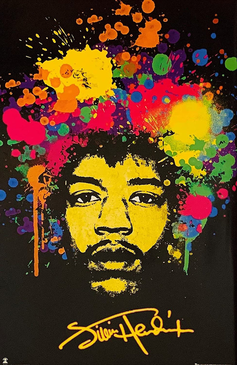 Jimi Hendrix R U Experienced Contemporary Art Poster 24 X 36 Inch
