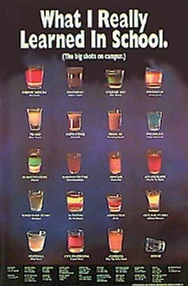 What I Really Learned In School - Shot Recipe Poster (23 x 35 inches ...