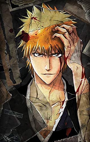 Bleach - Ichigo Portrait - Anime Poster (11 x 17 inches) – Imaginus Posters