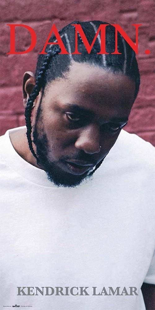 Kendrick Lamar - Damn - Hip Hop Poster (12 x 24 inches) – Imaginus Posters