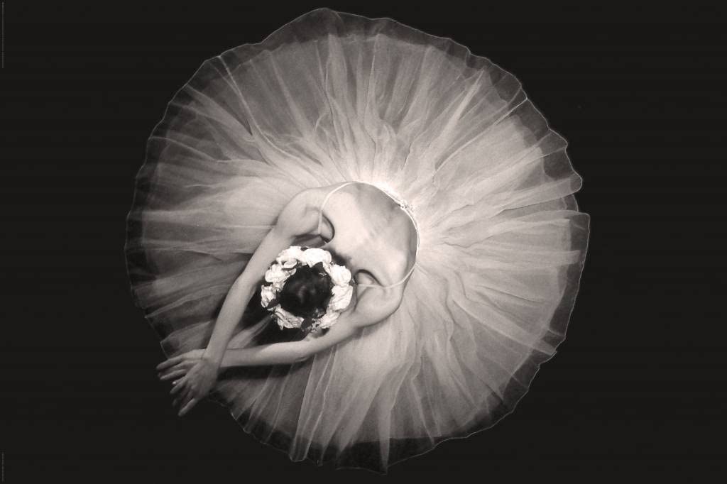 Ballerina in Repose - Dance Poster (24 x 36 inches) – Imaginus Posters
