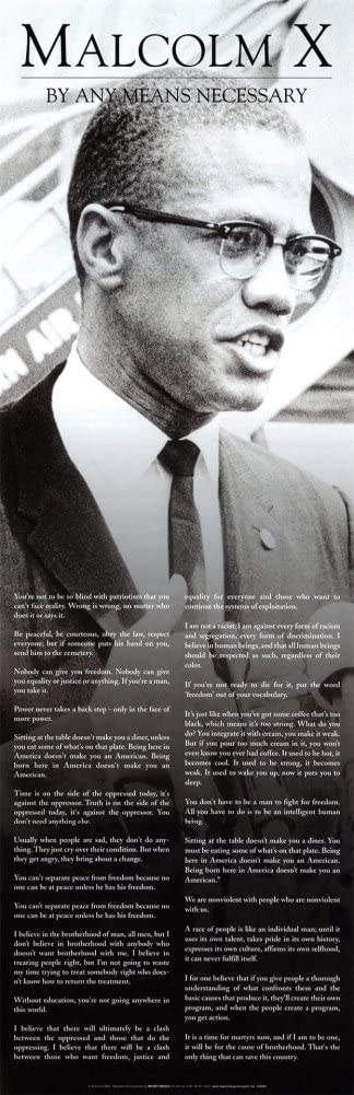 Malcolm X - By Any Means - Quote Poster (12 x 36 inches) – Imaginus Posters