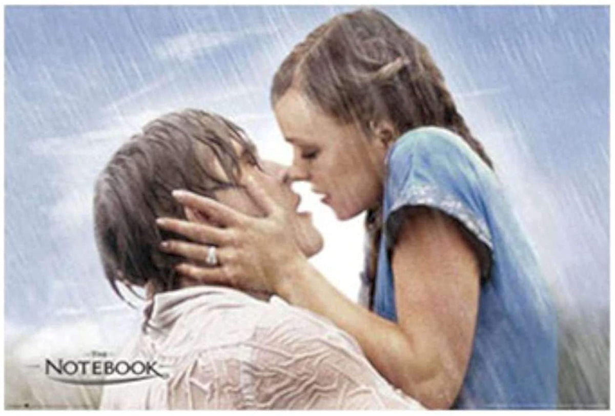 The Notebook - Movie Poster (24 x 36 inches) – Imaginus Posters