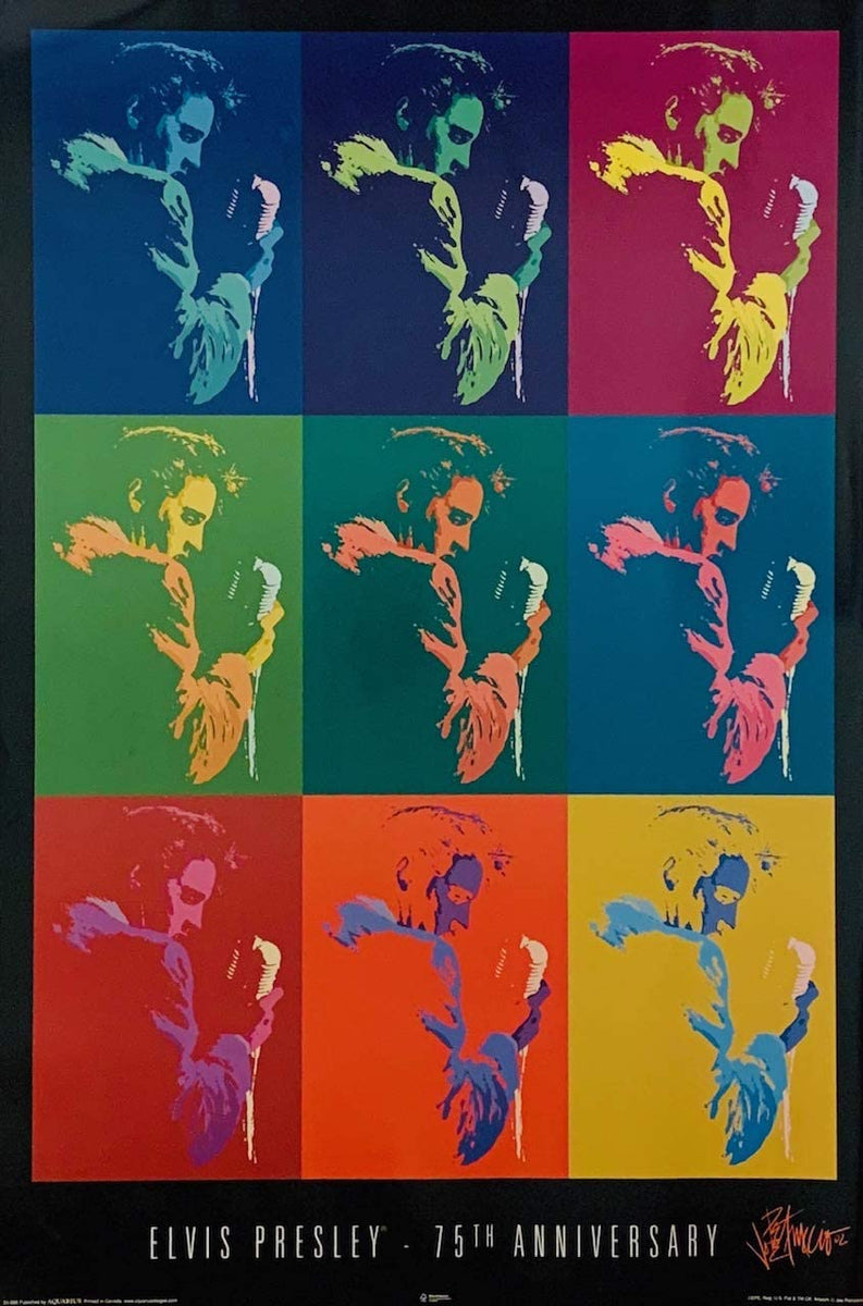 Elvis - Pop Art Portraits - Celebrity Icon Poster (24 x 36 inches ...