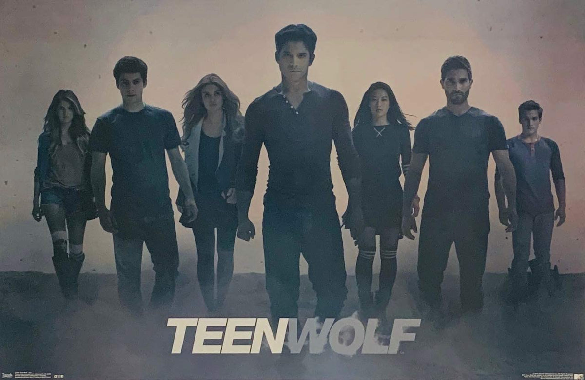 Teen Wolf - Ash - TV Poster (22.38 x 34 inches) – Imaginus Posters