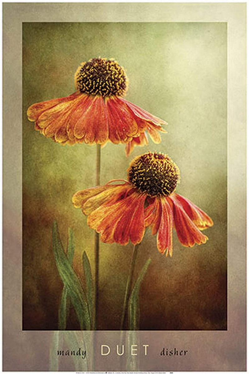 Duet - Floral Art Poster (24 x 36 inches) – Imaginus Posters