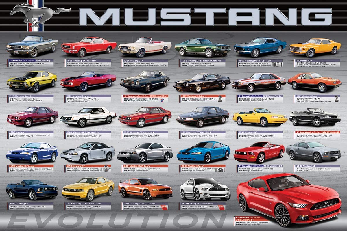 Ford Mustang - Evolution Chart - Car Poster (24 x 36 inches) – Imaginus ...