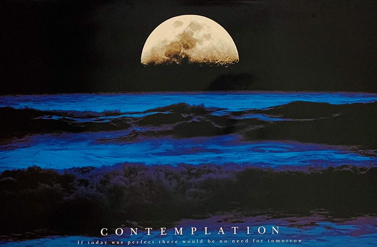 Contemplation - Motivational Poster (24 x 36 inches) – Imaginus Posters
