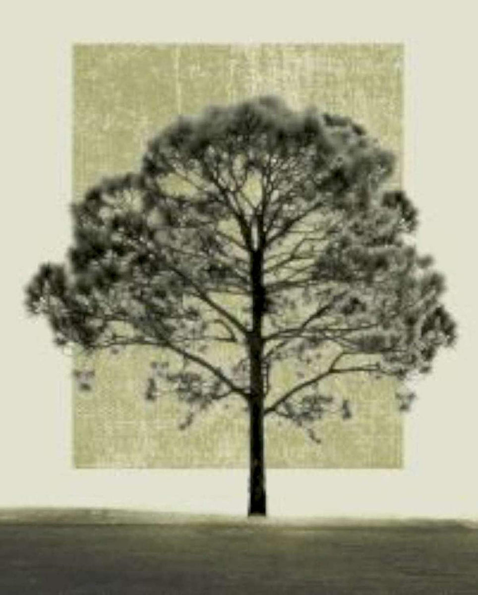 Majestic Tree - Nature Poster (16 x 20 inches) – Imaginus Posters