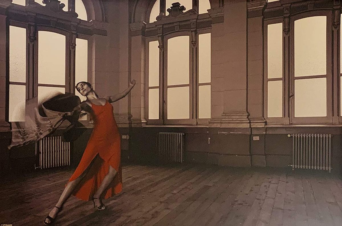 Royan - The Studio - Ballroom Dance Poster (24 x 36 inches) – Imaginus ...