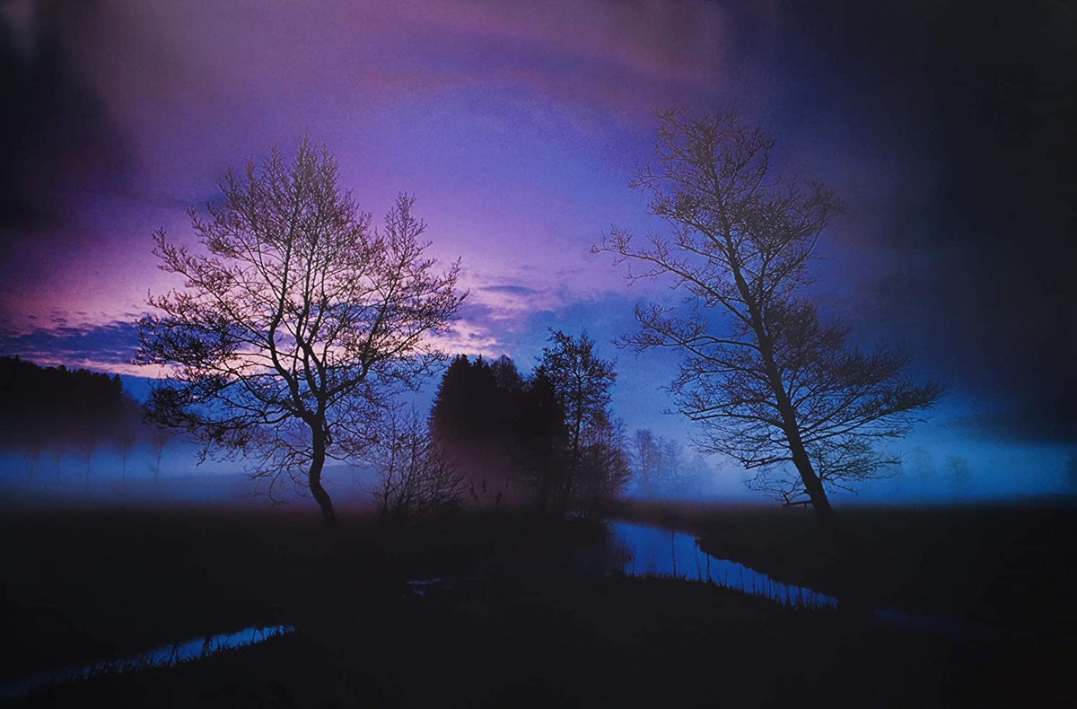 Dream Forest - Scenic Landscape Poster (24 x 36 inches) – Imaginus Posters