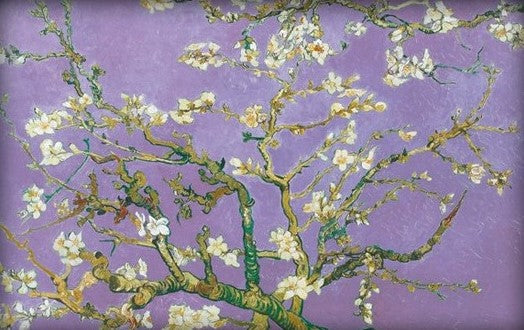 Van Gogh - Almond Blossoms in Violet - Fine Art Poster (11 x 17 inches ...