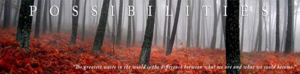 Possibilities - Motivational Poster (12 x 36 inches) – Imaginus Posters