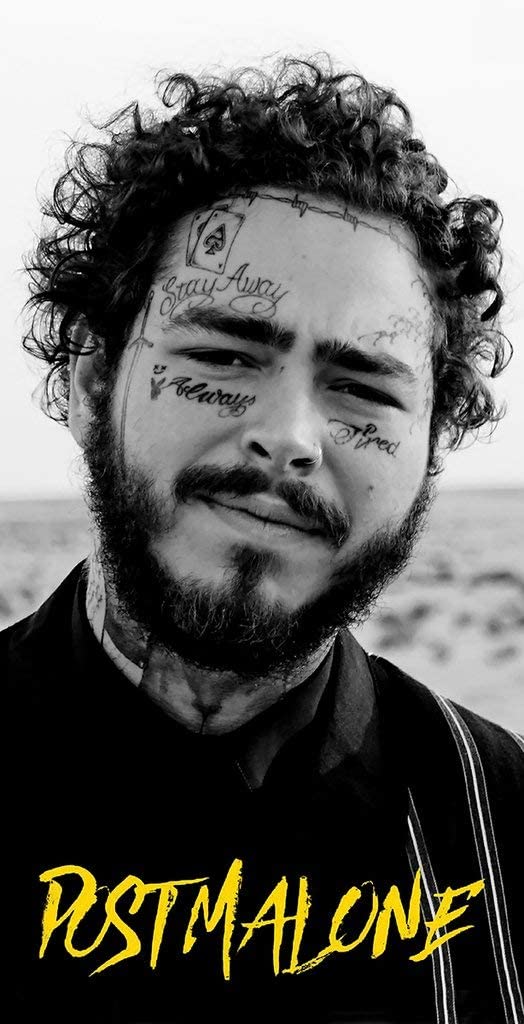 Post Malone - Portrait - Pop Music Poster (12 x 24 inches) – Imaginus ...