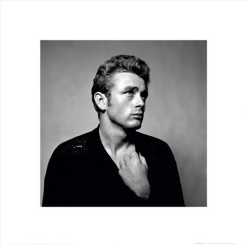 James Dean - Portrait - Celebrity Poster (16 x 16 inches) – Imaginus ...